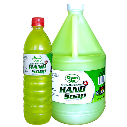 Liquid Hand Soap (Apple) – Sabon Depot JDG